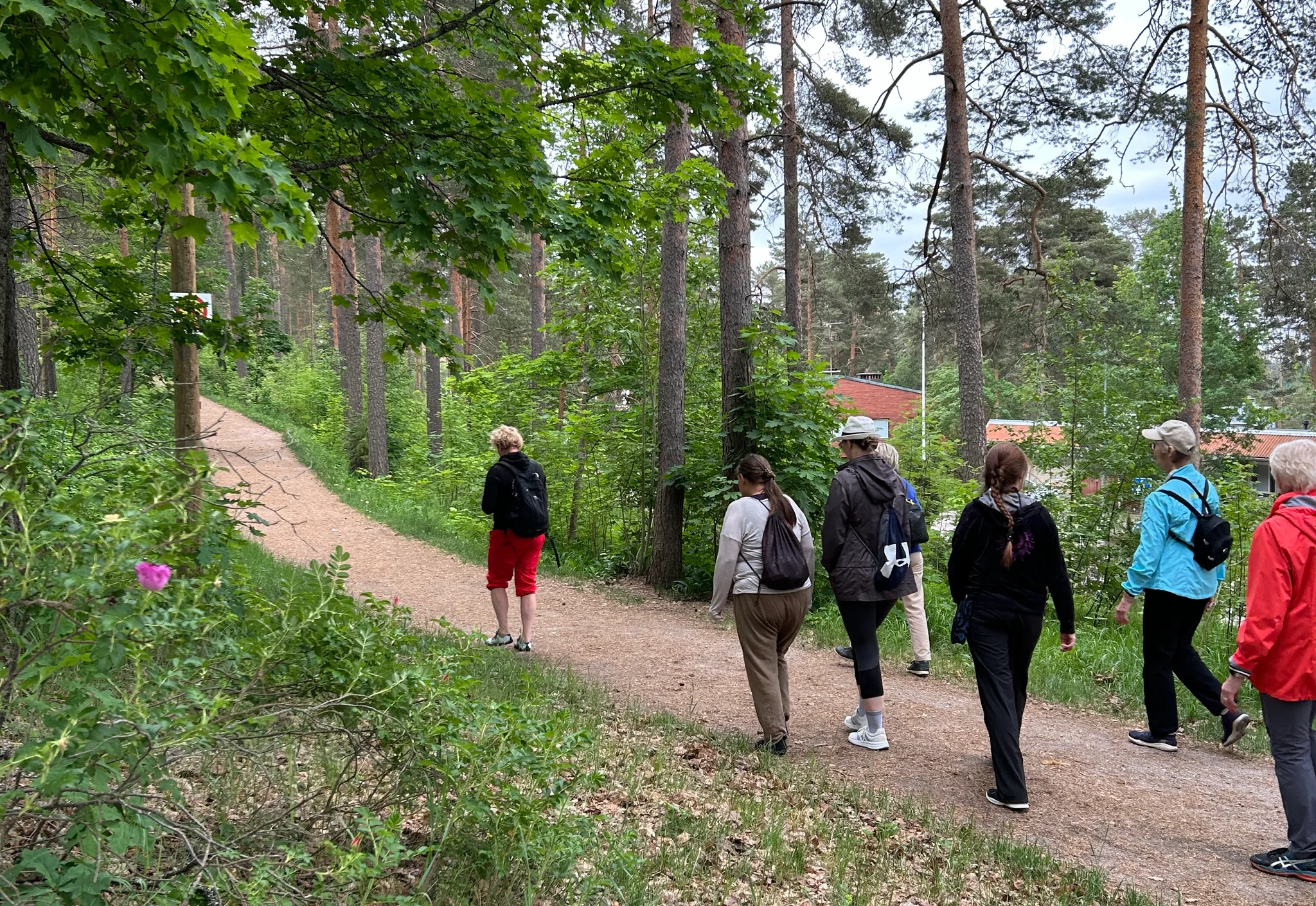 Lähellä.fi | Vertaiskävely allergiaa,ihosairautta ja astmaa sairastaville